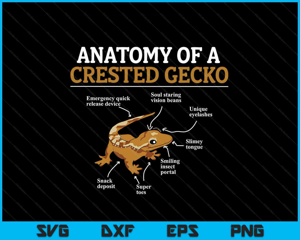 Anatomy Of A Crested Gecko SVG PNG Digital Cutting Files – creativeusarts
