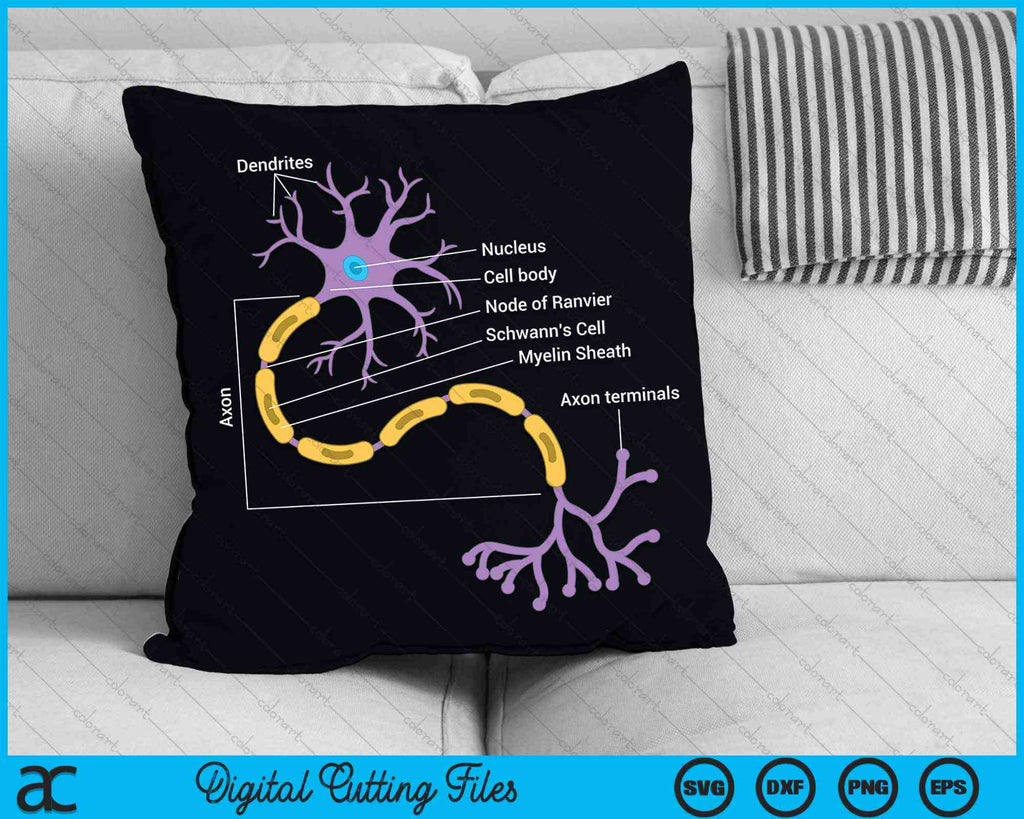Anatomy Of Neuron Neurologist SVG PNG Digital Cutting Files ...