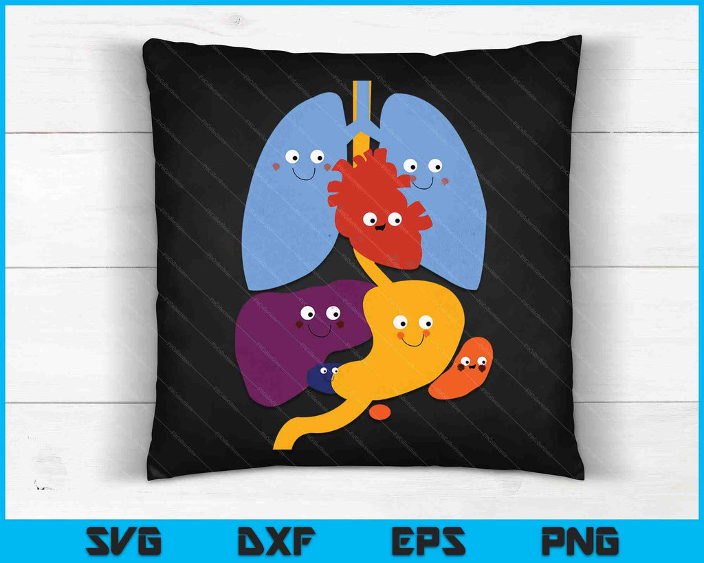 Cute Anatomy and Physiology Heart Lungs Organs SVG Cutting Files ...