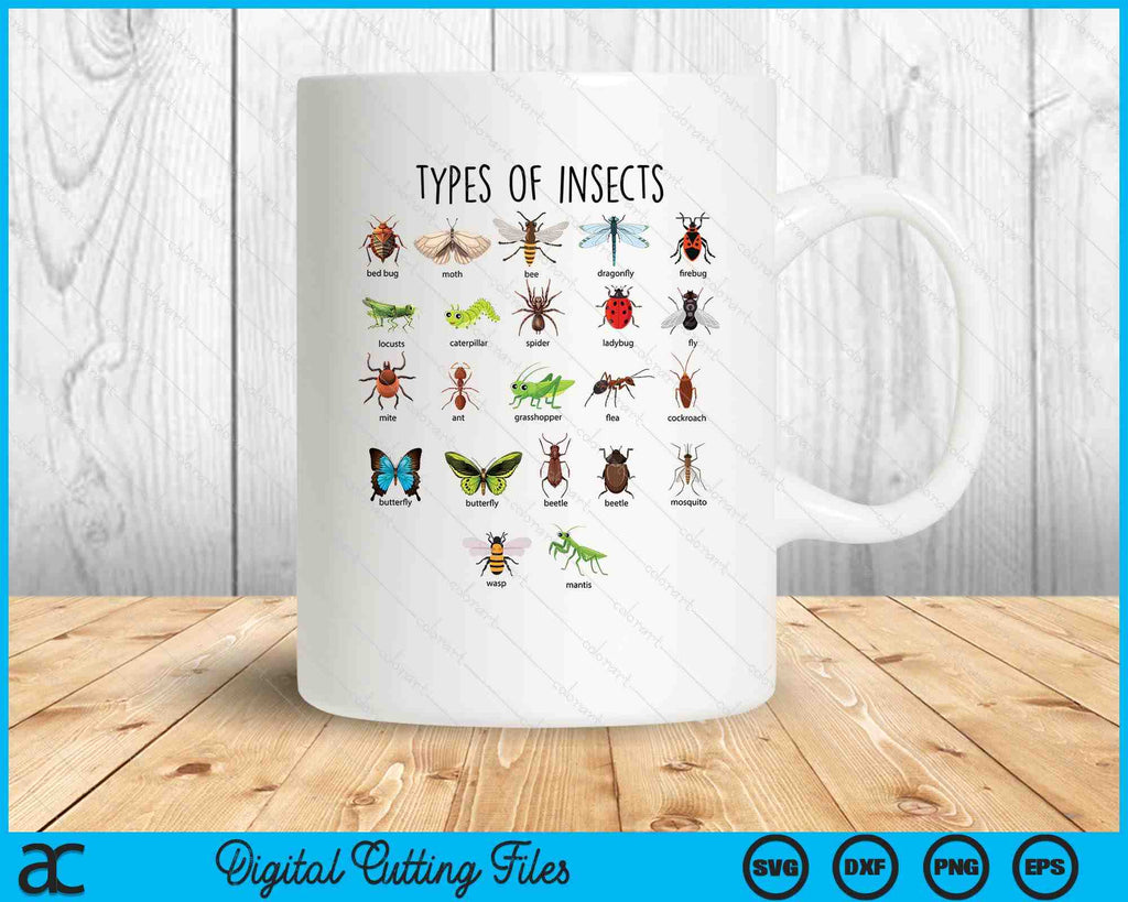 Kids Types Of Insects Bug Identification Science SVG PNG Digital Cutti ...